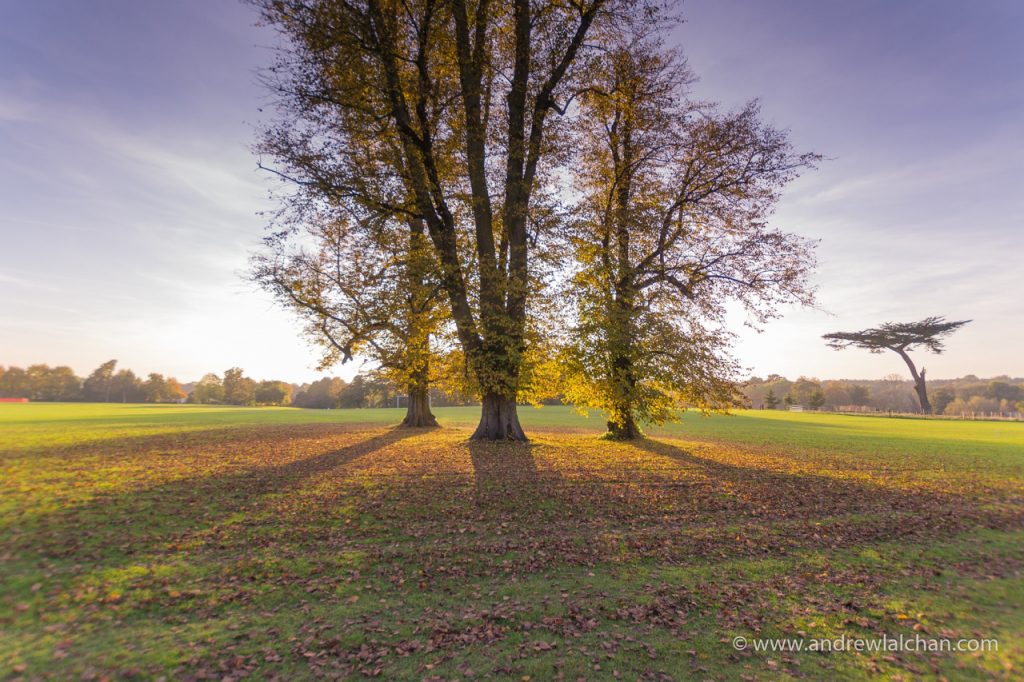 Watford Weather October 2016