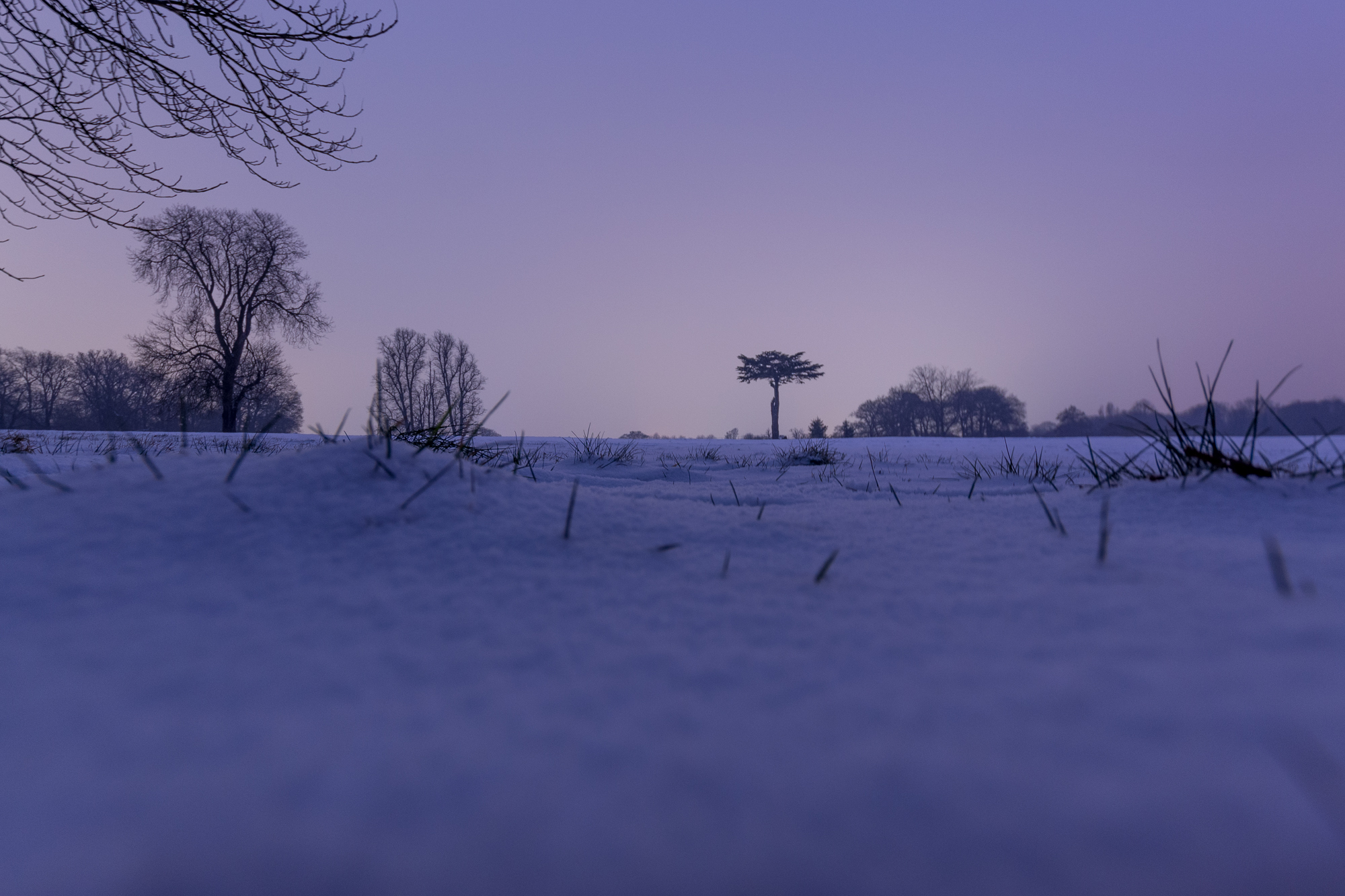 WATFORD WEATHER – FEBRUARY 2018 STATISTICS