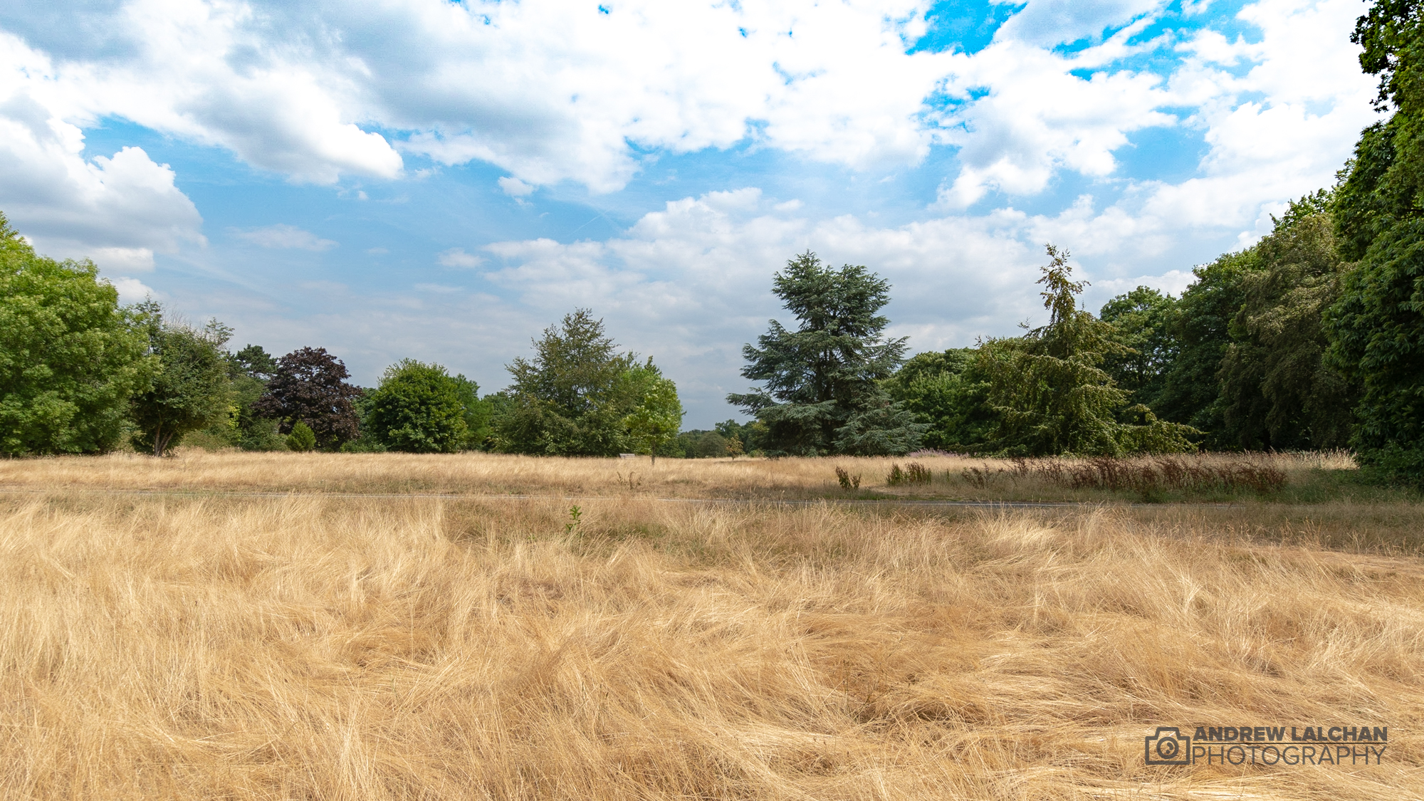 WATFORD WEATHER - JULY STATISTICS - Andrew Lalchan Photographer