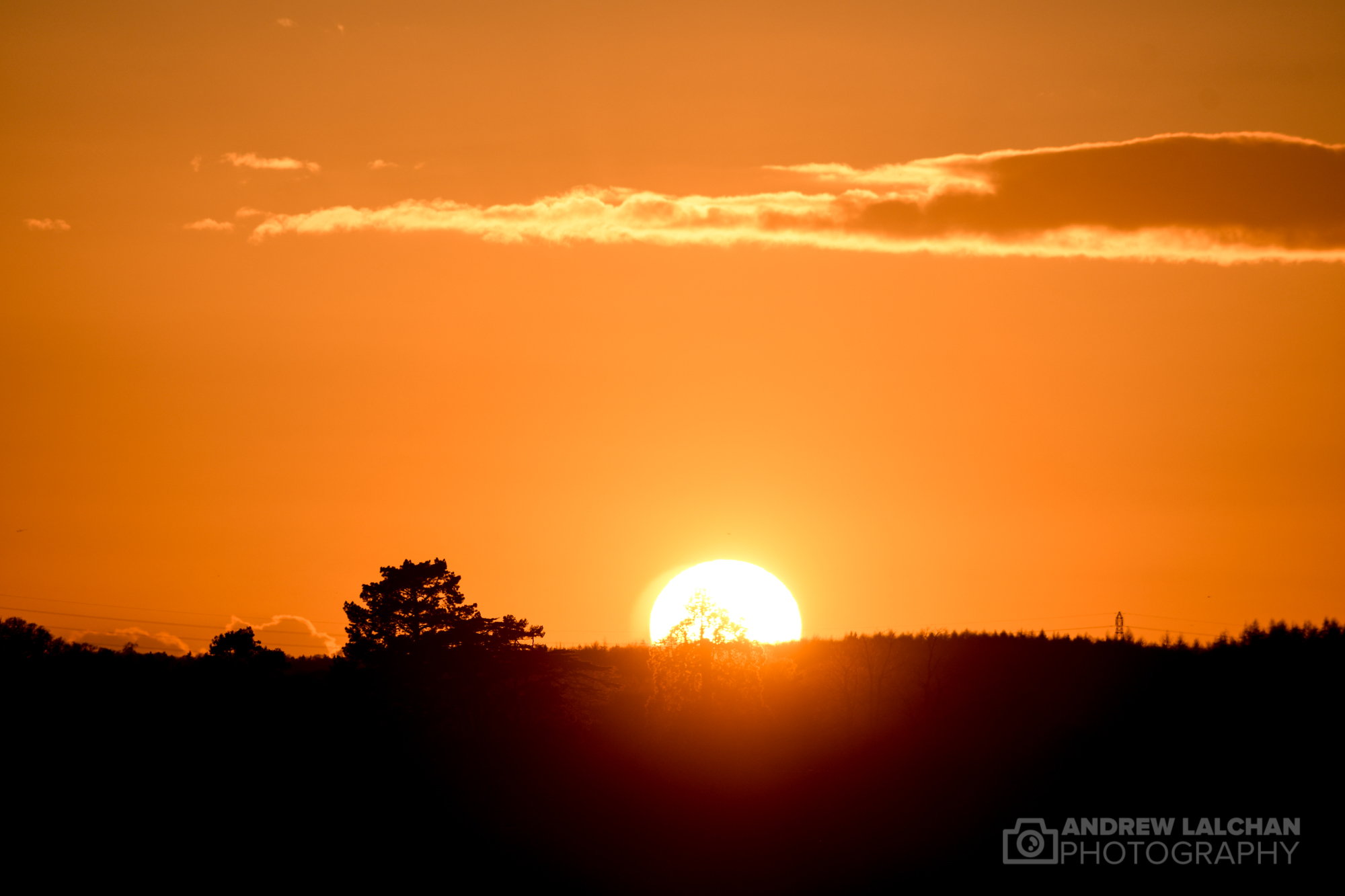 Weather In February 2020